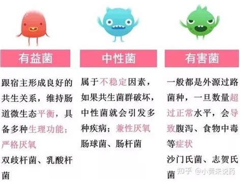 肠道益生菌知多少 知乎