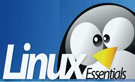Linux Essentials Overview LPI Central