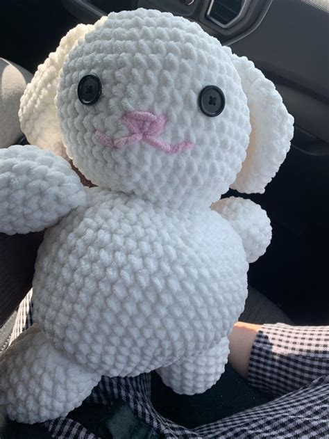 Meet Loppy R Introduceyourbbys