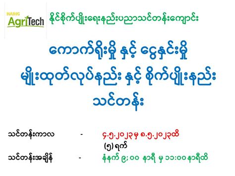 နိုင်စိုက်ပျိုးရေးနည်းပညာသင်တန်းကျောင်းမှ ကောက်ရိုးမှို နှင့် ငွေနှင်းမှို မျိးထုတ်လုပ်နည်း န