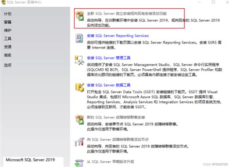 安装sql Server2019 功能选择 Sql Server2019安装哪些功能mob64ca14079fb3的技术博客51cto博客