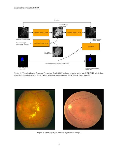 Structure Preserving Cycle Gan For Unsupervised Medical Image Domain