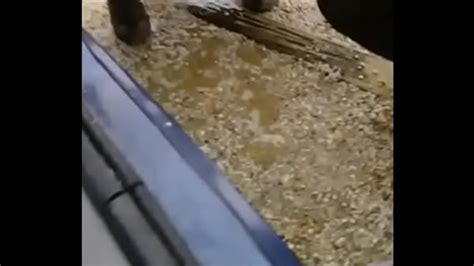 Tiny Teen Peeing Search Xvideos Com