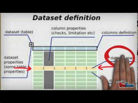 Nursing Minimum Data Sets YouTube