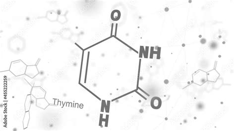 Chemical Structural Formula Of Thymine Dna And Rna Nitrogen Base