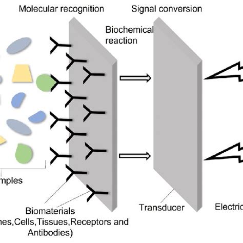 The Working Principle Of Metal Oxide Semiconductor Mos Sensors Download Scientific Diagram