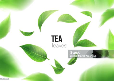 녹차 차 잎은 공중에 소용돌이 디자인 광고 차 제품 화이트 배경 3d의 포장을위한 요소 잎차에 대한 스톡 벡터 아트 및 기타