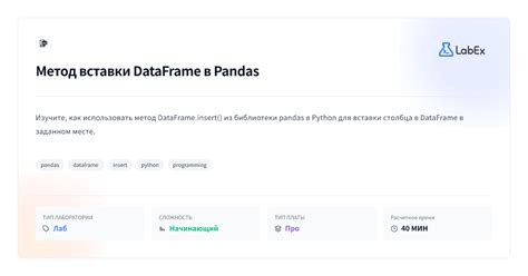 Вставка dataframe в pandas Руководство по программированию на python