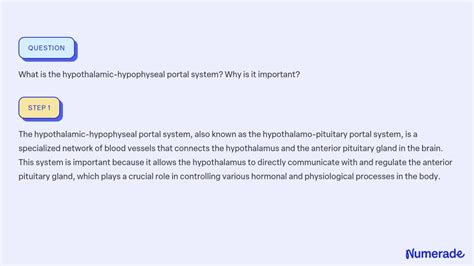 Solved What Is The Hypothalamic Hypophyseal Portal System Why Is It Important