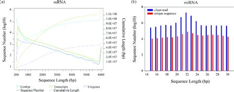 Length Distribution Of Contigs Transcripts And Unigenes Of MRNA And