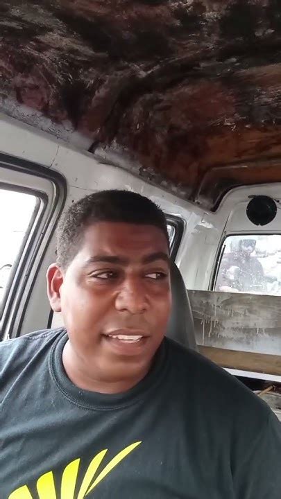 Aprendiendo A Cantar Pero La Música Se Me Adelanta Automobile Rd Chowchow Noticias Beisbolrd