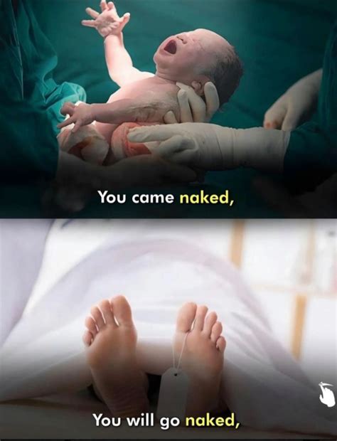 Chirag Sachdeva On Linkedin This Is Life 🌱🪴