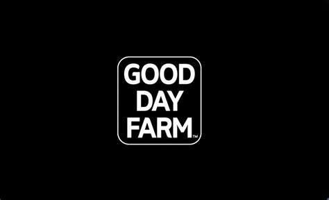Im Very Excited To Announce That Ive Accepted A New Role As An Insight Analyst With Good Day