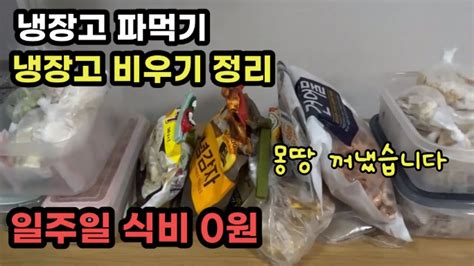 일상브이로그 Vlog 1인가구 식비줄이기 절약 식단 일주일 식비 0원 식비 절약하는 일주일 식단 자취 짠테크 Youtube
