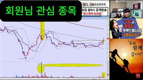 회원님 관심 종목 단타스윙추세실시간라이브주식방송주식주식강의주식공부주식기법주식투자수급봉기준봉종베수급매매 Youtube