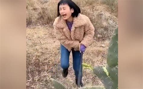 完了今天的功德又笑没了 137 笑料收集菌 笑料收集菌 哔哩哔哩视频