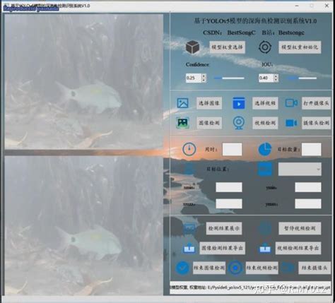 基于深度学习的高精度深海鱼检测识别系统（pytorchpyside6yolov5模型） 知乎