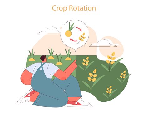 crop rotation concept 41176728 vector art at vecteezy