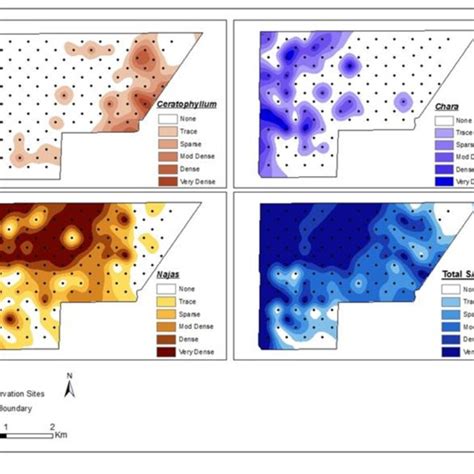 B 11 Ground Survey Results Depicting The Spatial Coverage And Relative