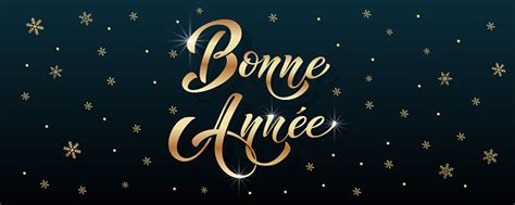 Bonee Annee와 Joyeux Noel 프랑스어로 된 인사말이 있는 메리 크리스마스 카드 템플릿입니다 12월에 대한 스톡 벡터 아트 및 기타 이미지 Istock