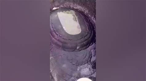 මේ ව්ගේ සල්කුනු තියෙනවා න්ම් විනාස කරන්න එපා Dawasakaayeapihamuwela එවා අපිට උරුම නැ Nat Youtube