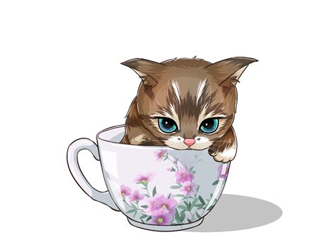 茶杯猫114 一个不重复的名12 站酷ZCOOL