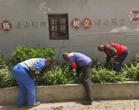 谏壁街道焦湾社区清除杂草进行时 共建文明新家园 今日镇江
