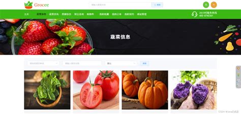 基于springbootvue的蔬菜销售管理系统的设计与实现 Csdn博客