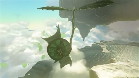 How Many Korok Seeds Are In Tears Of The Kingdom Answered