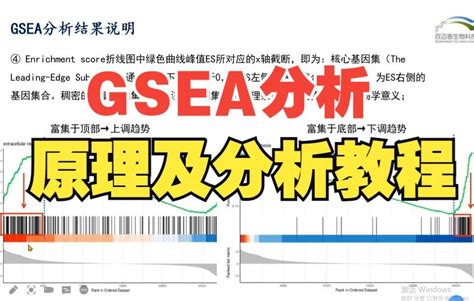 Gsea分析原理及流程方法【百迈客生物】 哔哩哔哩 Gsea分析原理及流程方法【百迈客生物】 哔哩哔哩