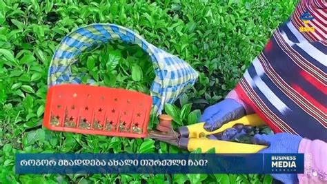 როგორ მზადდება ახალი თურქული ჩაი