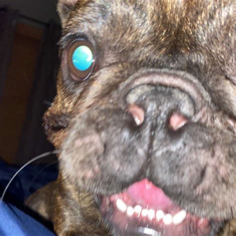 Trader Creksar Stock — Trading Ideas And Charts — Tradingview — Tradingview