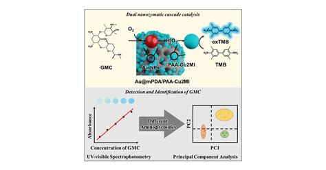 Dual Nanozyme Cascade For System Wide Specific Colorimetric Detection