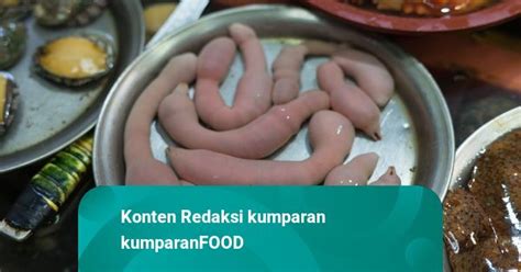 5 Ikan Teraneh Di Dunia Ada Bentuk Gelembung Sampai Penis Kumparan Com