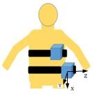 Location Of Sensor Modules On Subjects 1 Left Side Of Waist And 2 Download Scientific