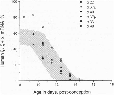 Pattern Of Human Globin Gene Expression In The Six Lines Containing