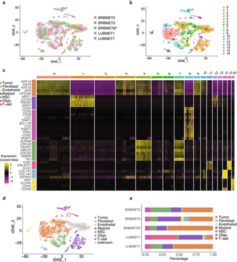 Single Cell Rna Seq Data Analysis And Cell Annotation A T Sne Plot Of Download Scientific