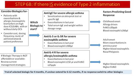 Severe Asthma Guidelines At Zac Ayers Blog