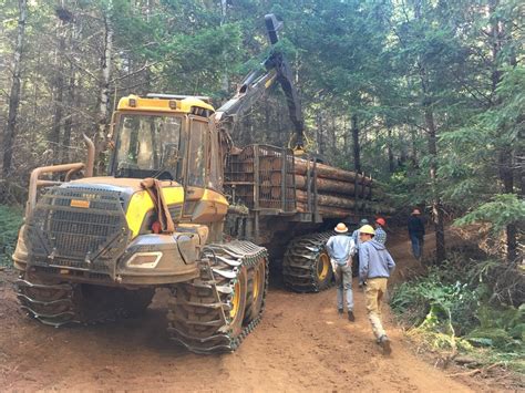 Tethered Logging A Steep Slope Option — Trout Mountain Tethered Logging A Steep Slope Option — Trout Mountain