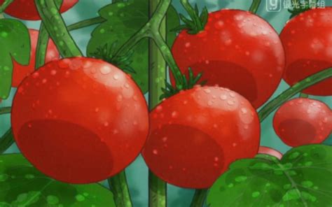 蜡笔小新sp 离群小屋and春日部都市传说我的空壳and春日部都市传说怪异的狗屋and一起种蘑菇 嘭嘭ppp 嘭嘭ppp 哔哩哔哩视频