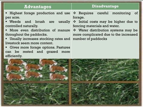 Grassland Management Production And Conservation Ppt