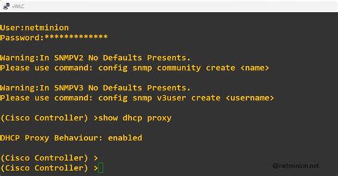 Dhcp Proxy Vs Dhcp Bridging Netminion Solutions