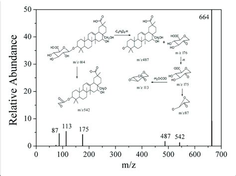 The Fragmentation Pathways Proposed According To The Msms Spectra Of