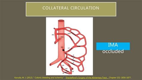 12361 Colonic Ischemia In Evar And Open Repair Aaa Ppt