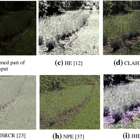 Visual Comparison Of Proposed Method With Different Techniques Download Scientific Diagram