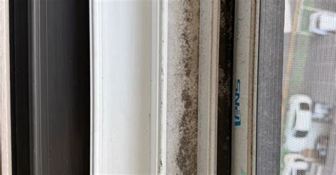 다른곳에서 업체 사기를 당해 급하게 구한 곳이었어요 그런데 정말 100프로 후회없이 지인한테 추천의사 오백퍼 있습니다 일단 담당자분 연락 너무 빠르시고 감동의