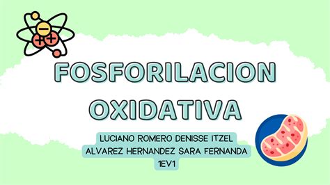 Fosforilacion Oxidativa Diapositivas De Bioquímica Docsity