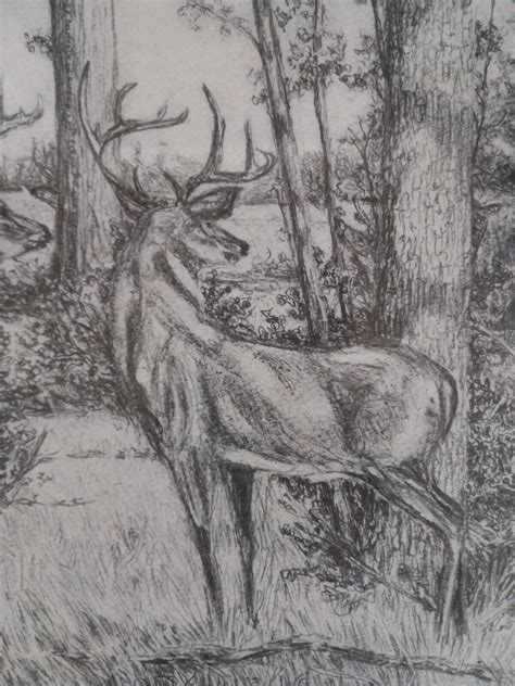 Artist Wendell G Williamson Signed Penciled Artwork 156 500 Sweet