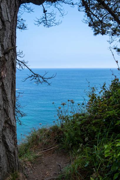 230개 이상의 순례자 호스텔 이미지 스톡 사진 그림 및 Royalty Free 이미지 Istock