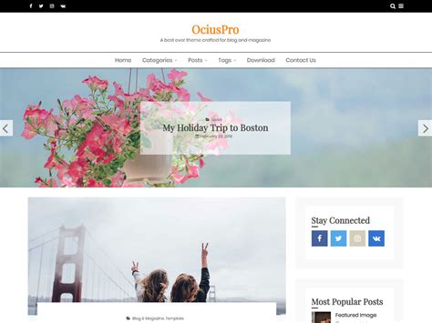 Candid Themes Clean Minimal Free And Premium Wordpress Themes